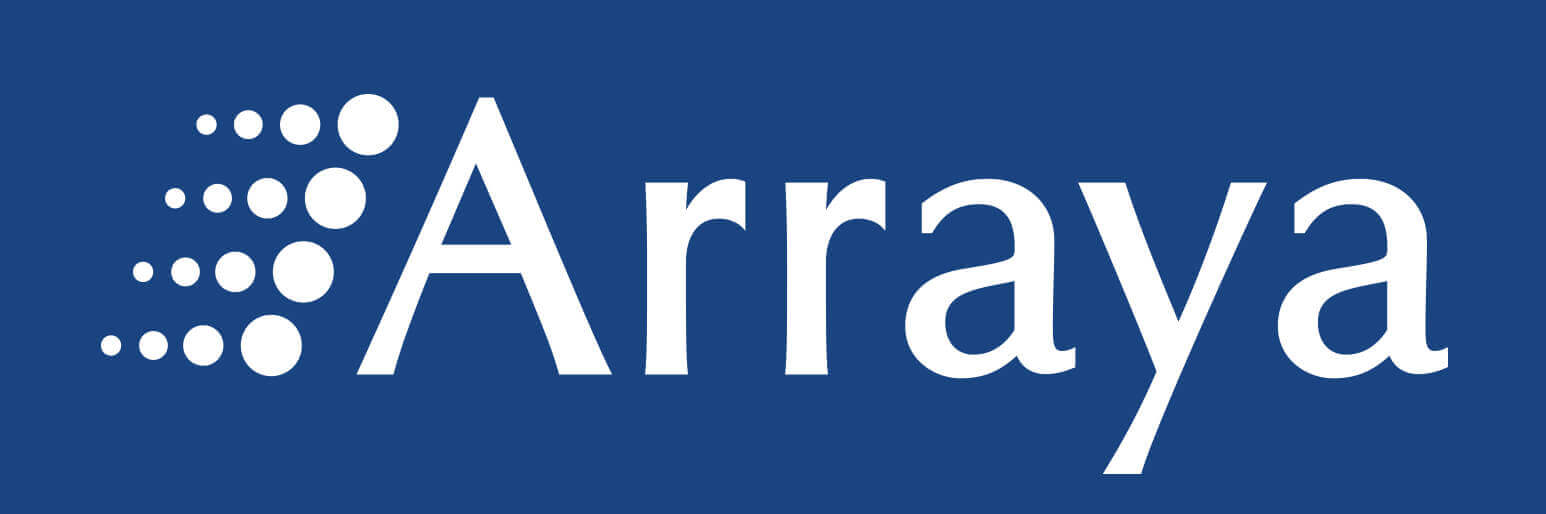 Branding an IT services business in transition | FVM